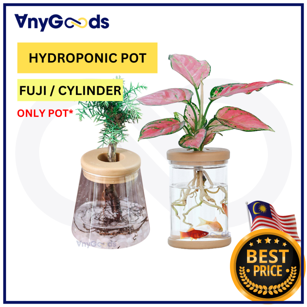 Cylinder/Fuji Shaped Transparent Self Watering Pot Hydroponic Pot Auto ...