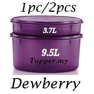 *1pc*Tupperware Take A Lot 9.5L/3.7L-Puple Dewberry | Shopee Malaysia
