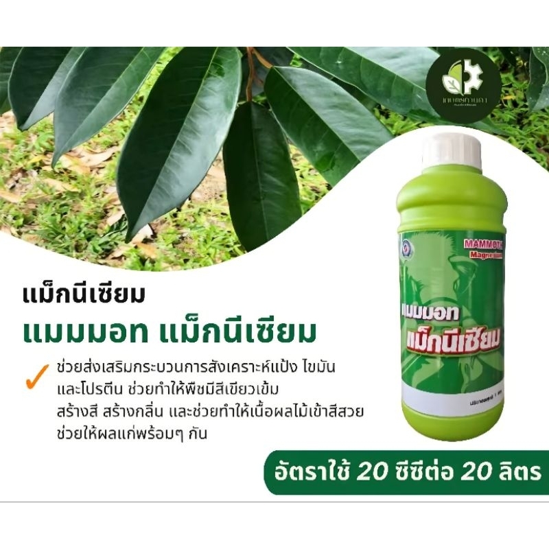Thepwatana Mammoth Magnesium 1L | Baja Foliar Magnesium Untuk Daun ...