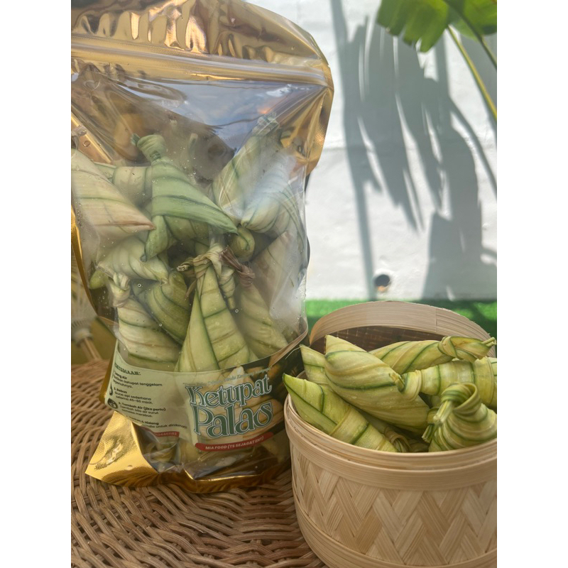 KETUPAT PALAS FROZEN FREE ICE BOX‼️FAST SHIPPING | Shopee Malaysia
