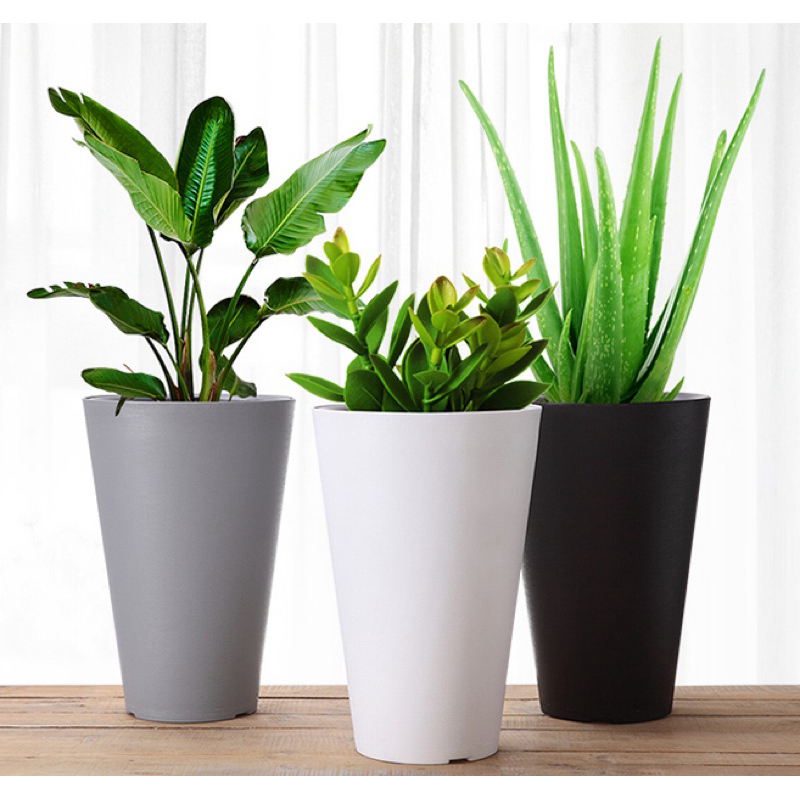 Pasu Pokok Viral | Pasu Bunga Hiasan | Pasu Plastik Tinggi | PVC Vase ...