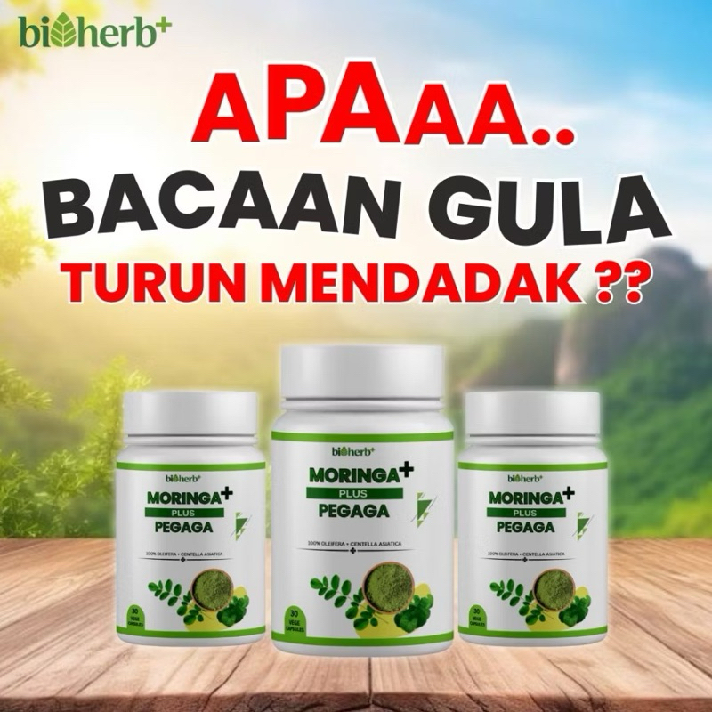 💯ORIGINAL Bioherb Moringa Pegaga Original Hq Daun Kelor Asli Campur ...