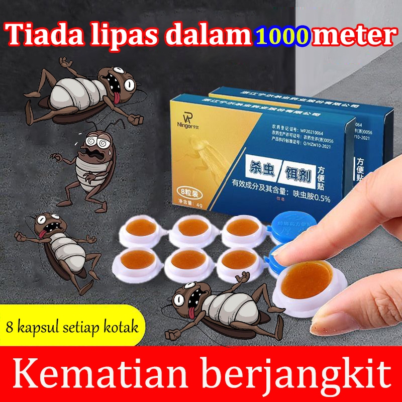 Tiada lipas dalam1000 meter Ubat lipas Racun lipas 8 kapsul setiap ...
