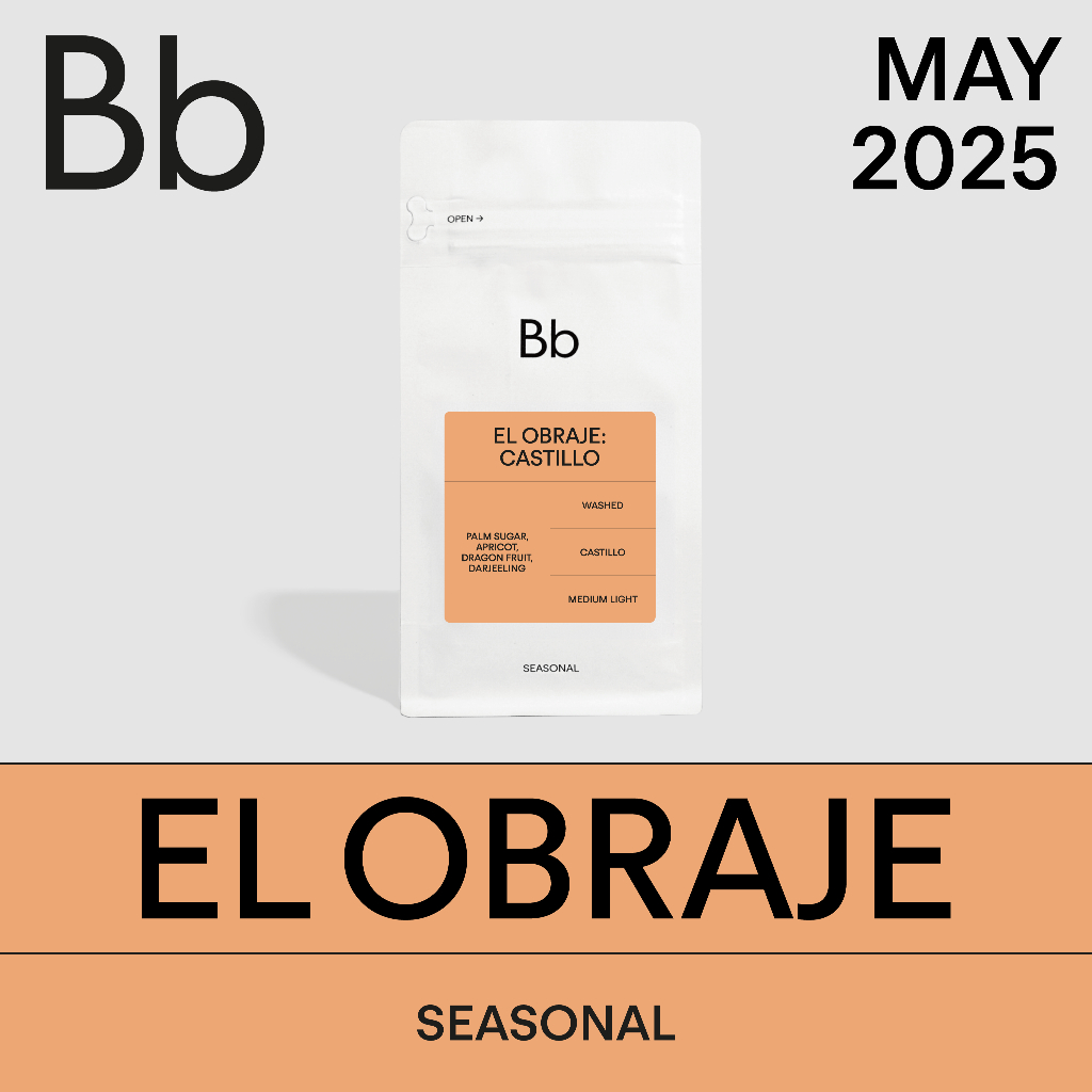 BEAN BROTHERS 399 El Obraje: Castillo Single Origin Coffee Beans Kopi ...