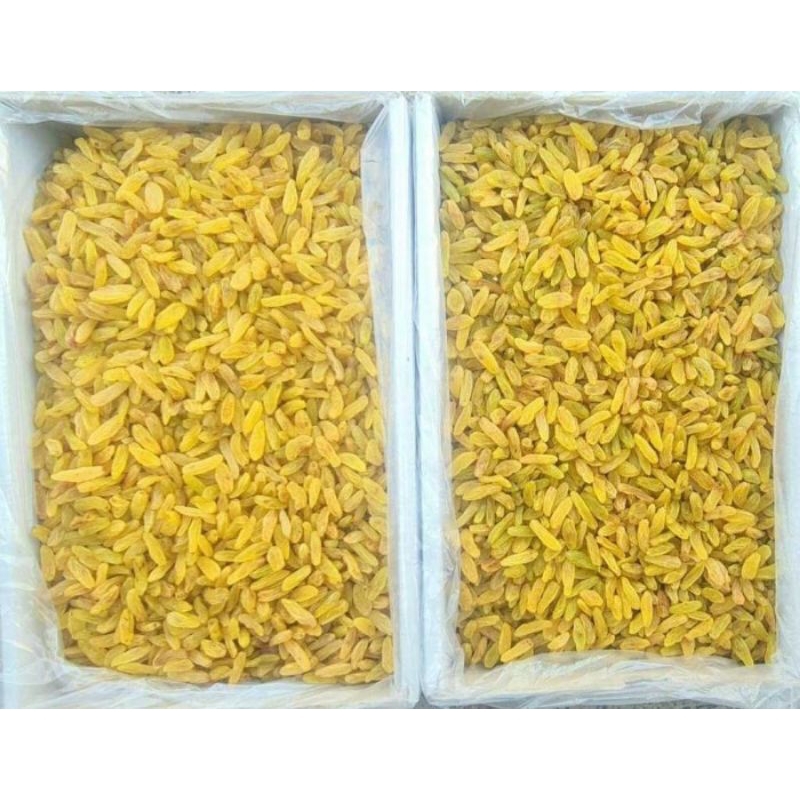 LONG GOLDEN RAISIN 5KG / KISMIS KUNING PANJANG 5KG (Wholesale Price ...
