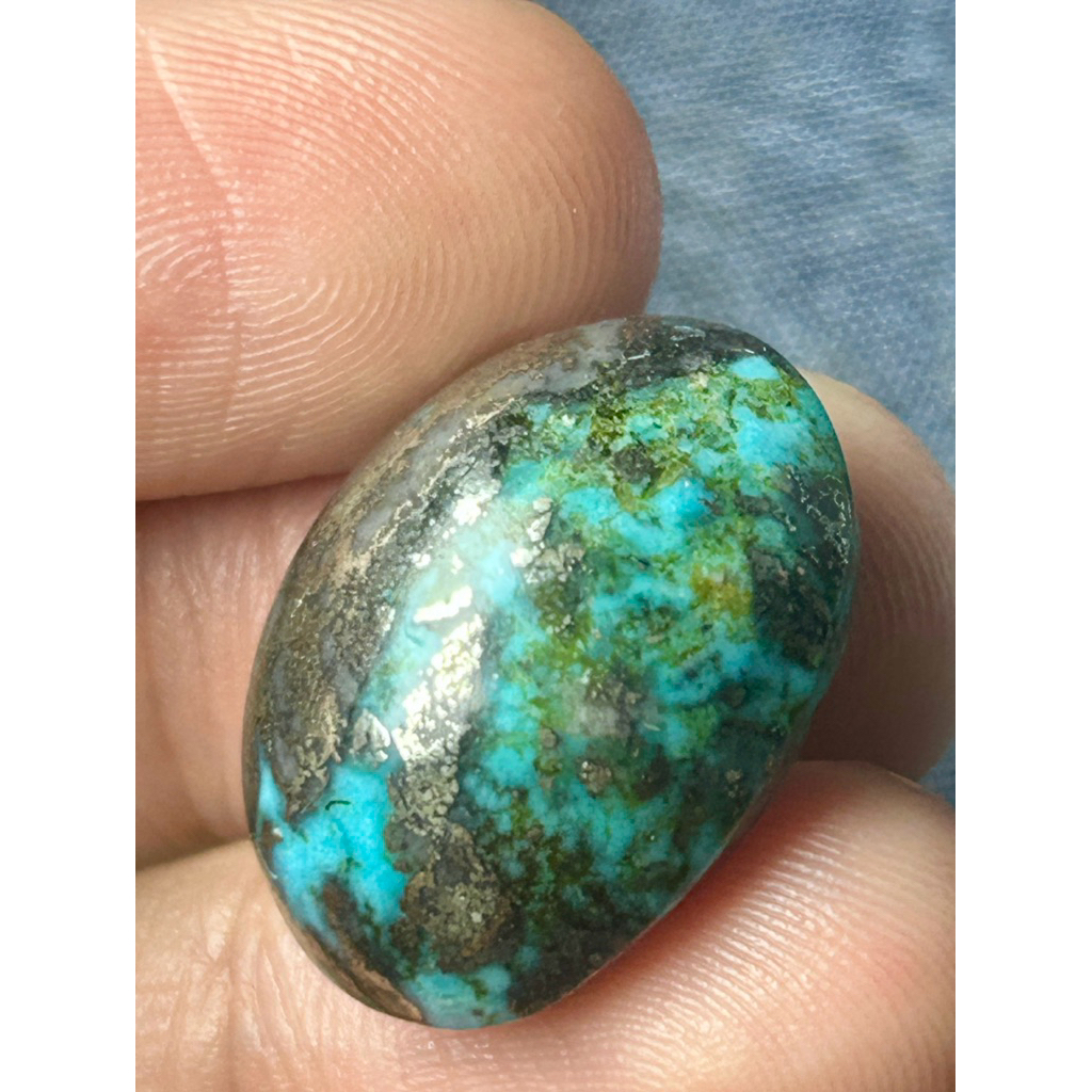 Firus Jantan Kursani Multicolour Skyblue Hijau Kuning Hitam Rare Untuk ...