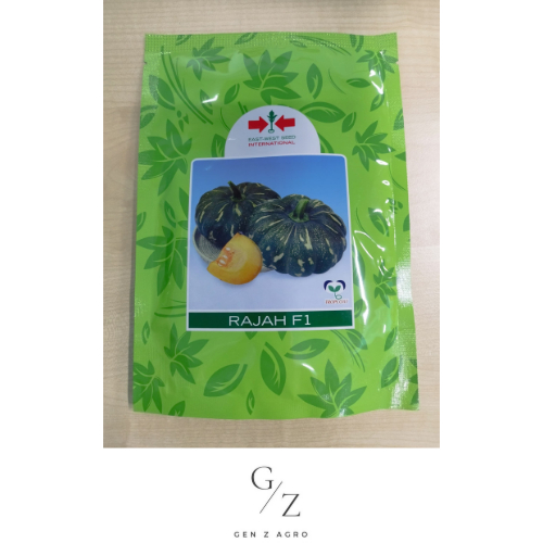 (20g / 50g / 100g) East-West Seeds 138 Rajah F1 Pumpkin / Labu Emas ...