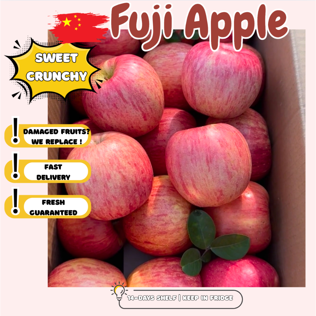 【READY STOCK】M Size Fuji Apple Epal Fuji Red Apple | FRESH&CHEAP APPLE ...
