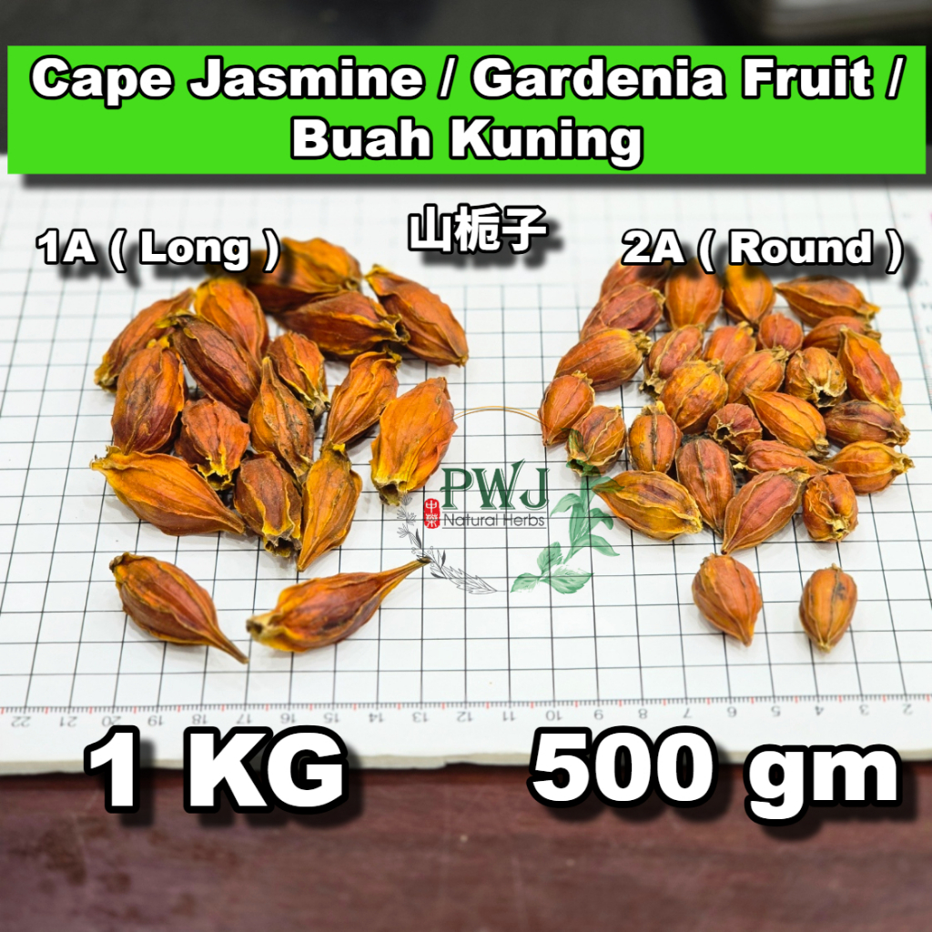 Cape Jasmine / Gardenia Fruit / Buah Kuning 山栀子 / 山支子 / 黄果仔 (500g & 1kg ...