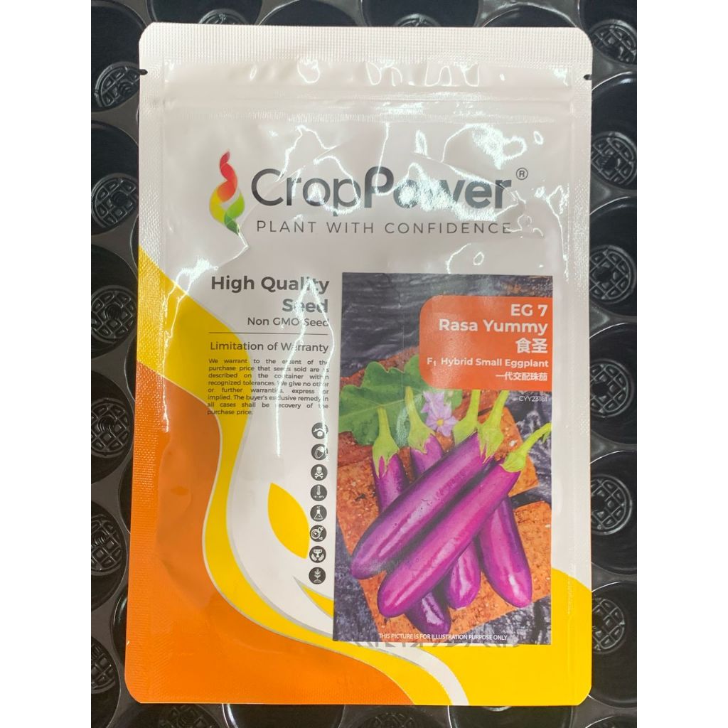 EG 7 RASA YUMMY EG7 Crop Power Biji Benih Terung Ungu Mini F1 Hybrid ...