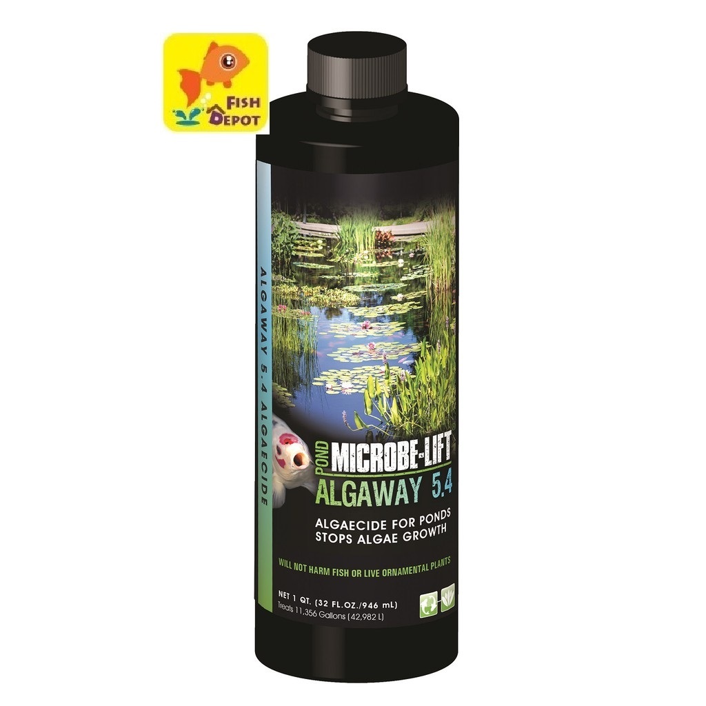 Microbe‑Lift Algaway 5.4 Algae Control 946 ml | EPA‑Registered ...
