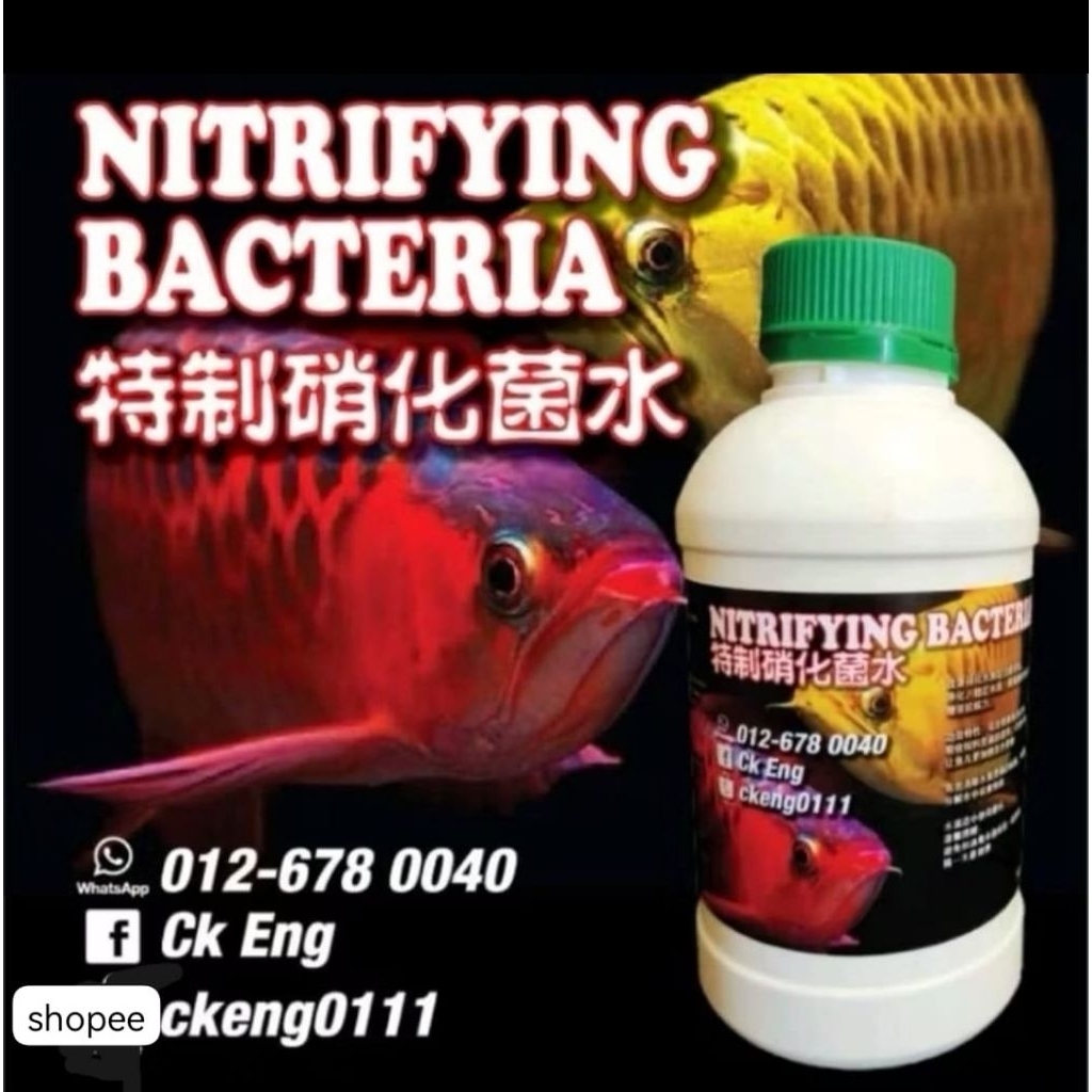 nitrifying bacteria 特制硝化菌水 | Shopee Malaysia