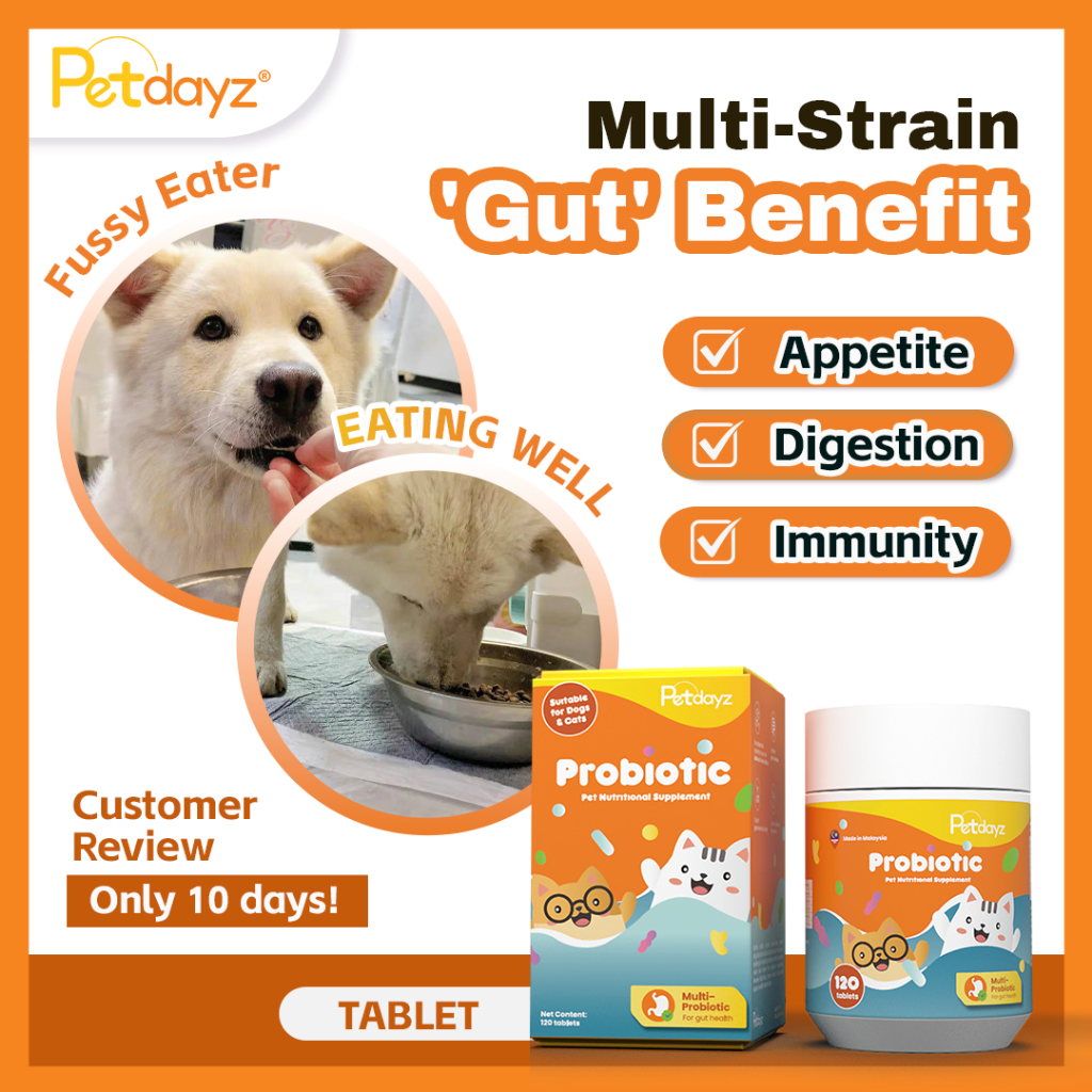 PetDayz Probiotic Tablet | Cat & Dog Supplement | Gut Health | Multi ...