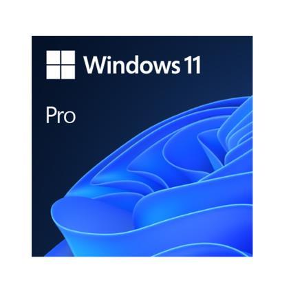 WINDOWS 11 Pro | USB 64 bit / 32 bit | Lifetime Use | Sealed and Brand ...