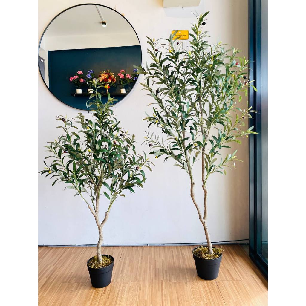 Premium Artificial Olive Plant / Pokok Zaitun Hiasan Tiruan 85cm ...