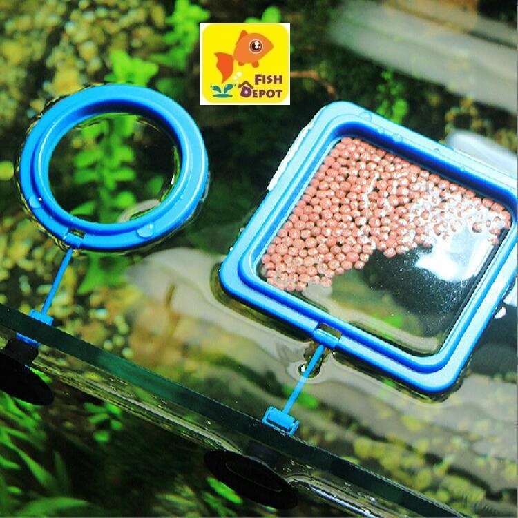 Aquarium Fish Feeding Ring Round / Square | Floating Food Ring for ...