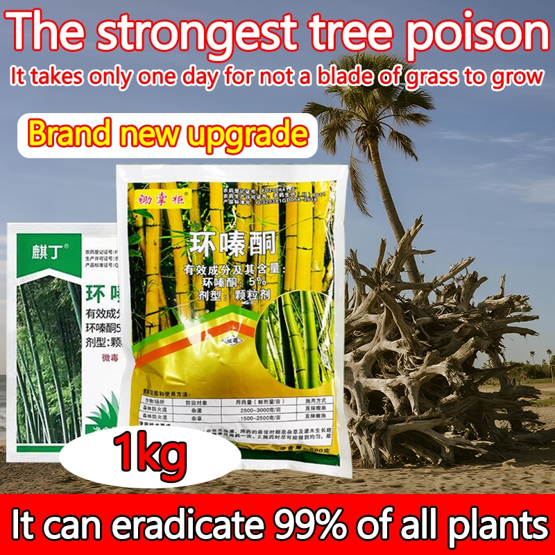 500G Racun pokok The Strongest Tree Poison 除草剂 tabur racun rumput Can ...