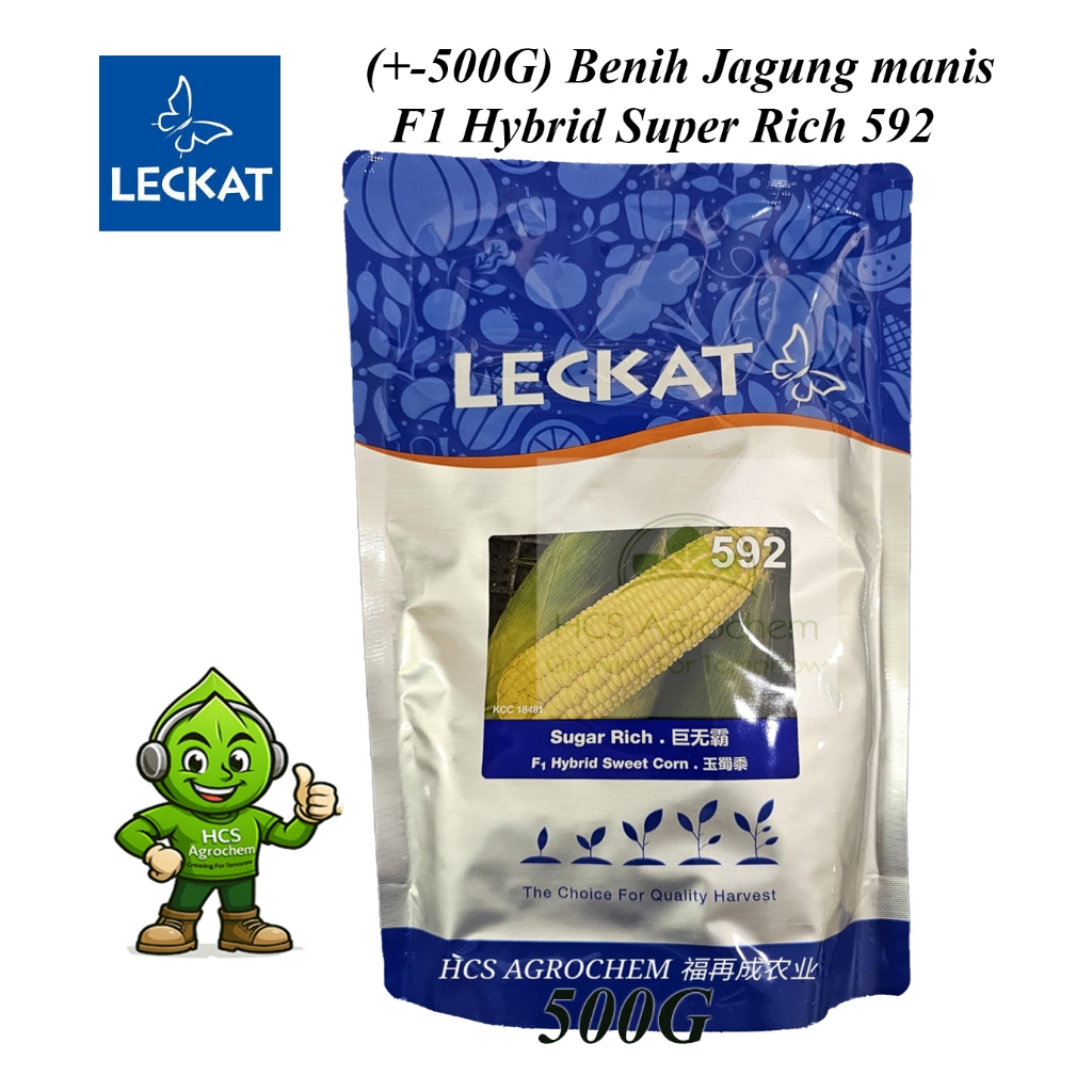 500g ) (NEW AND READY STOCK) Benih Jagung - F1 Hybrid Sugar Rich 592 (BATCH: APRIL 2025 ...