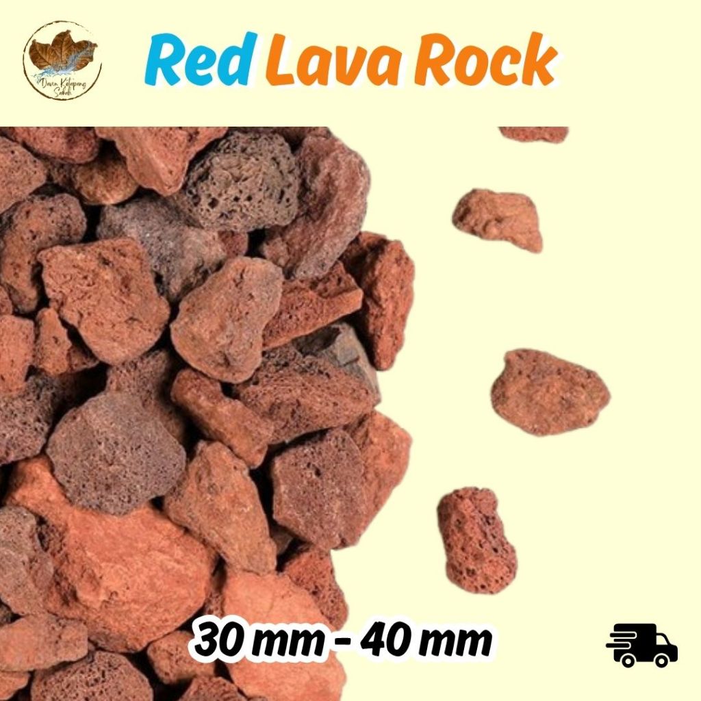 (1KG) RED LAVA ROCK, BATU LAVA MERAH | Shopee Malaysia