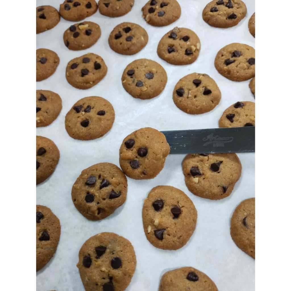 [Frisha Classic] Crunchy Walnut Choc Chips Cookies Aunty Baker, Biskut ...