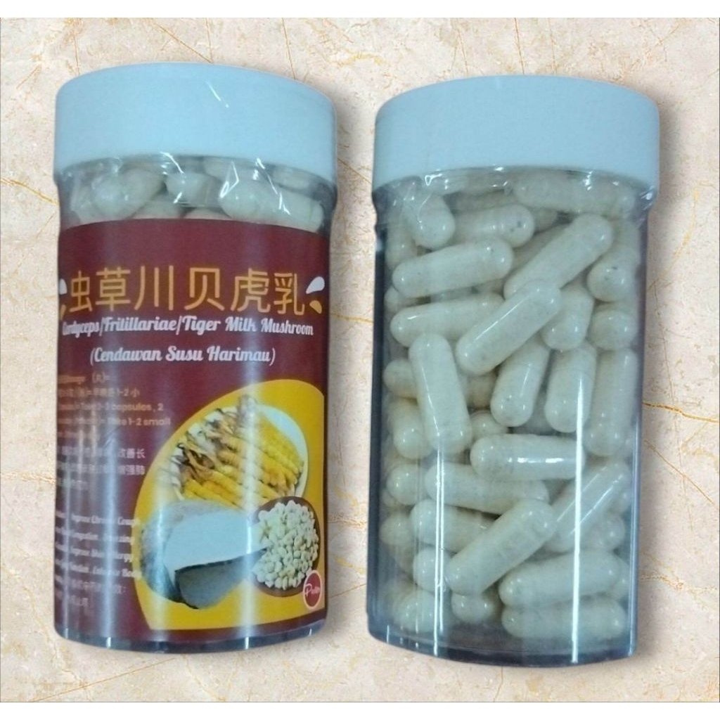 虫草川贝虎乳 Cordyceps Fritillariae Tiger Milk Mushroom (Cendawan Susu ...