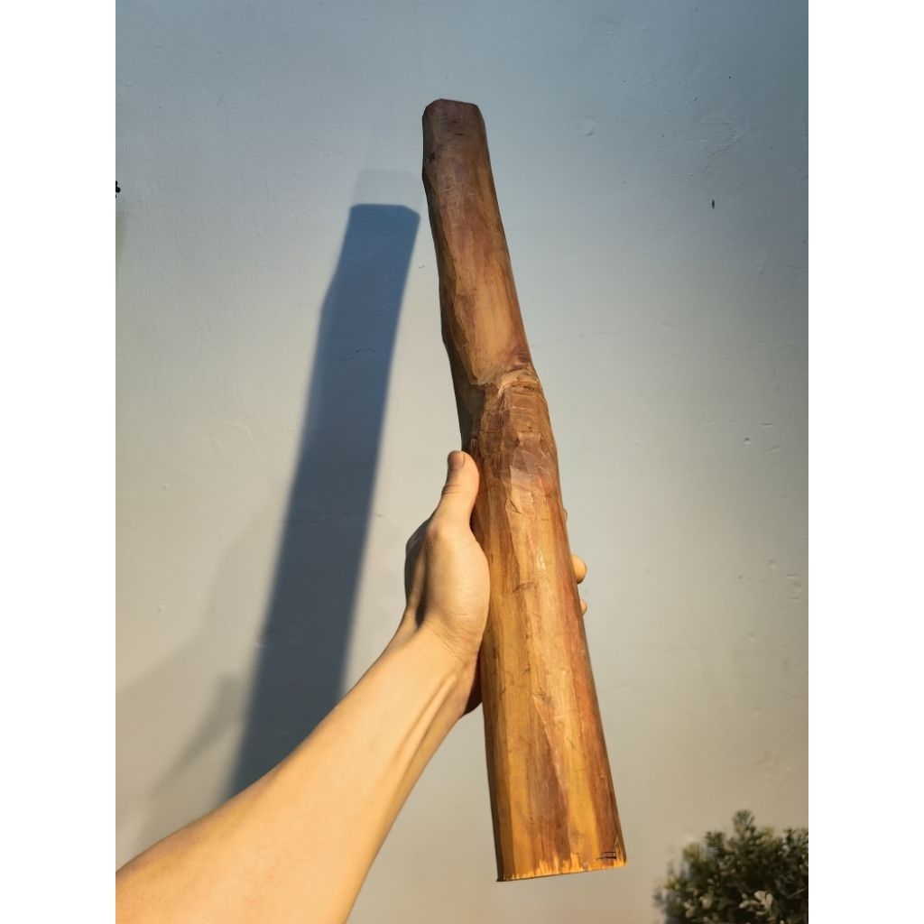 kayu raja merah asli 60cm | Shopee Malaysia