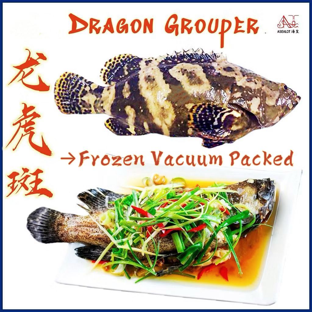 Dragon Grouper | Kerapu | 龙虎斑 - Frozen Vacuum Packed | Shopee Malaysia