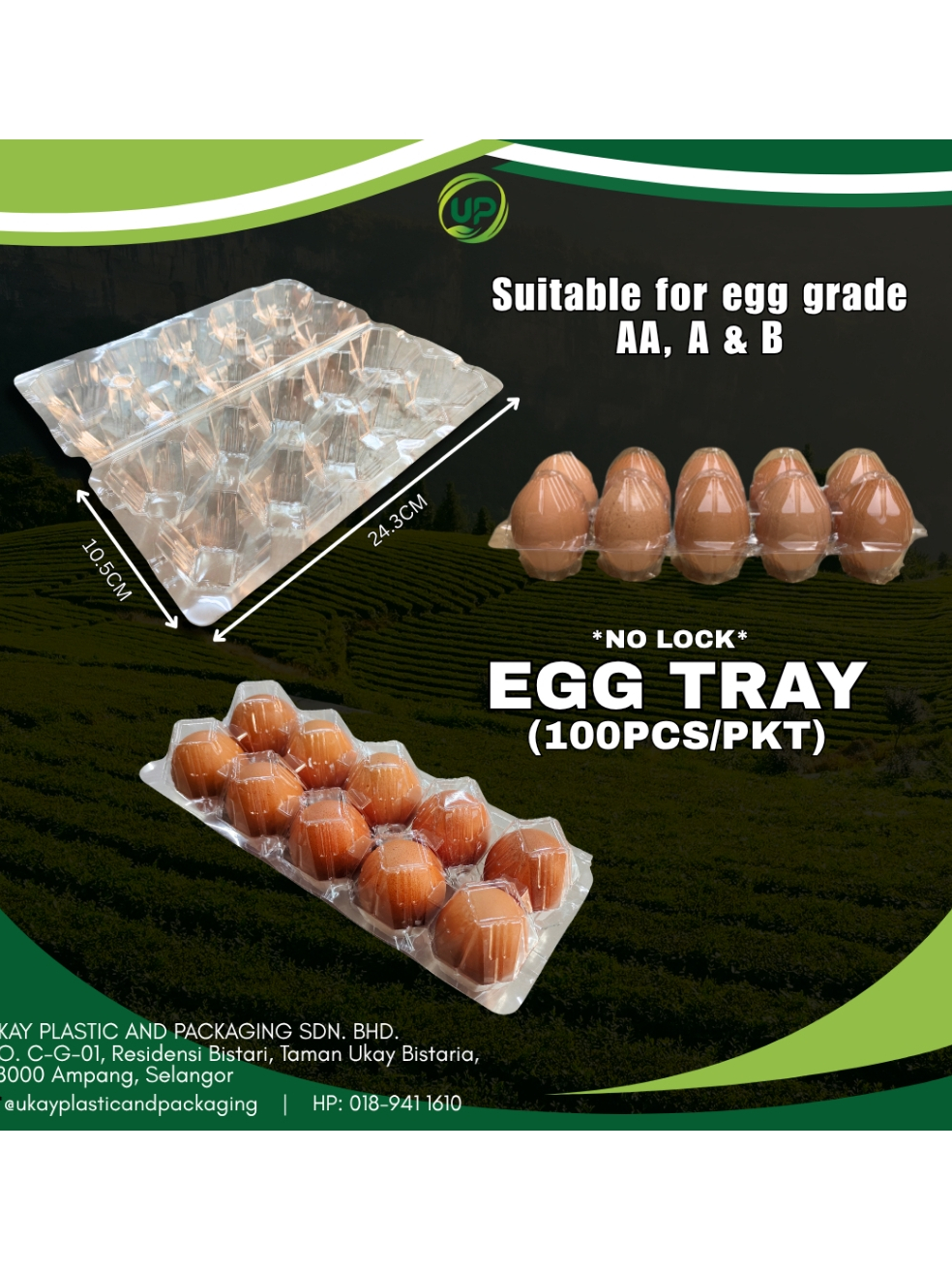 10 BIJI BEKAS TELUR PLASTIK /PP PLASTIC CHICKEN EGG TRAY / BEKAS TELUR ...