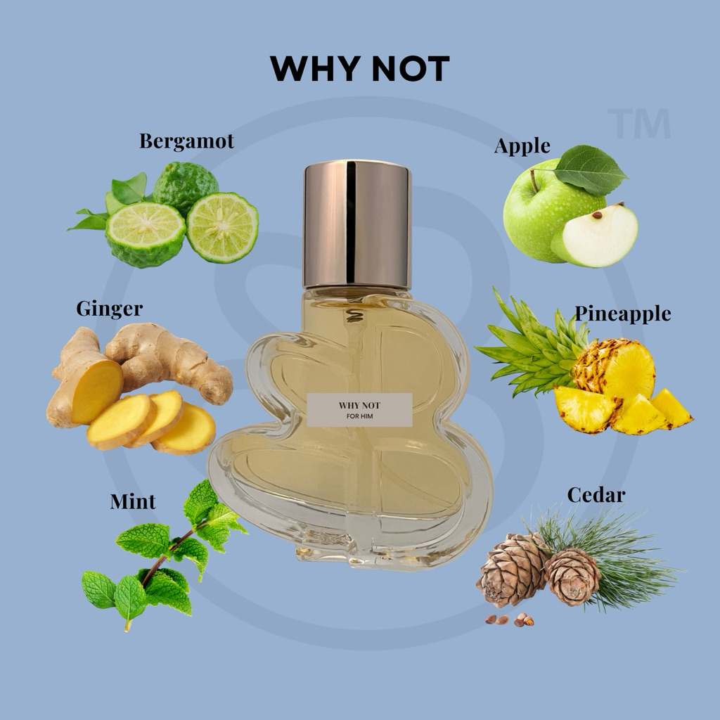 Why Not Perfume by BeauBoss | Shopee Malaysia