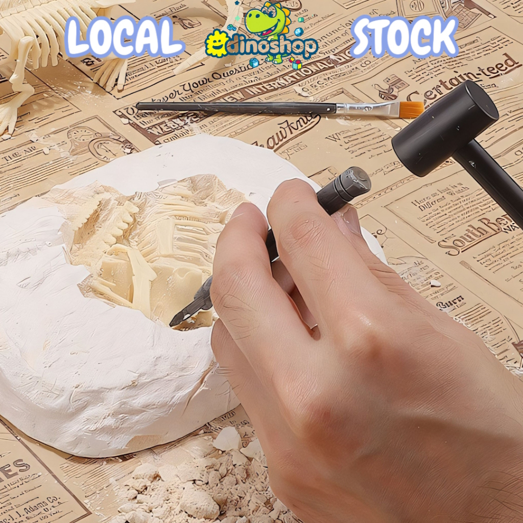 Fossil Mining Toy Excavation Archaeology Dinosaur Skeleton Digging Clay ...