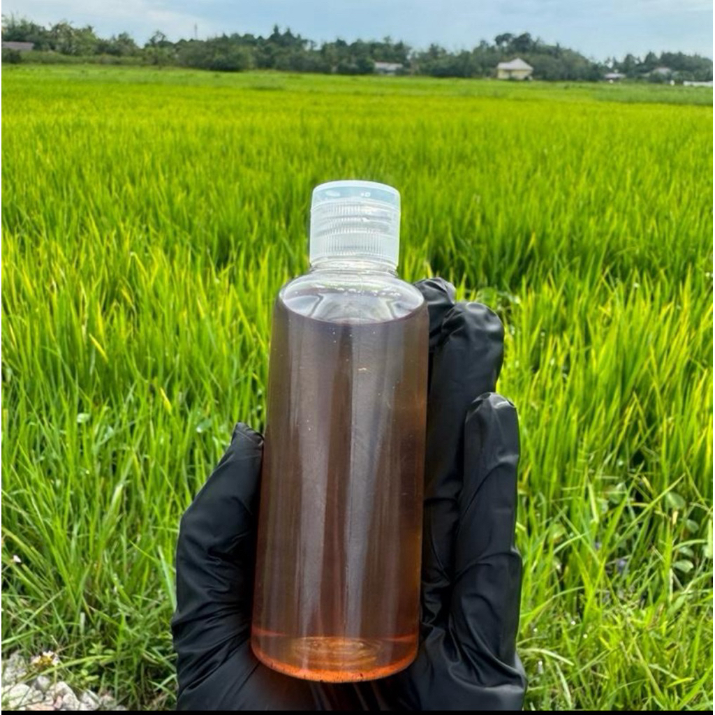 PATI HERBA GEL (3 KALI GANDA PADU) | Shopee Malaysia
