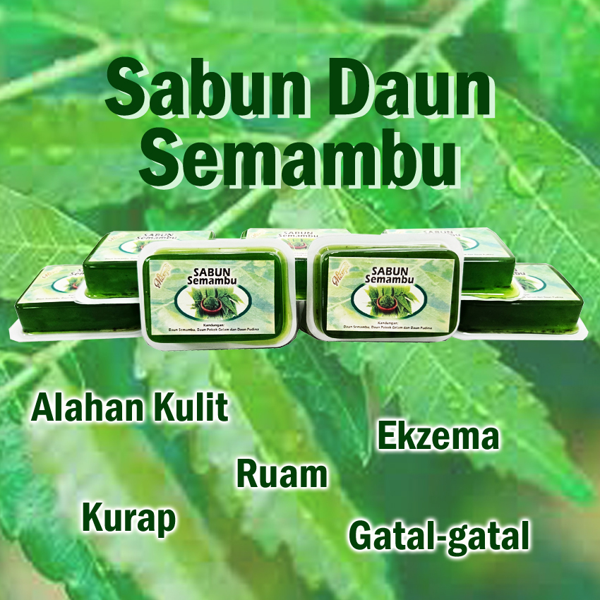 Sabun Semambu/Neem Leaf Soap/Allergic/Alahan Kulit/Ekzema/Kurap/Ruam ...