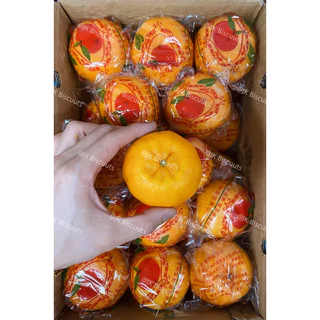 fresh mandarin orange - Prices and Promotions - Feb 2026 | Shopee Malaysia