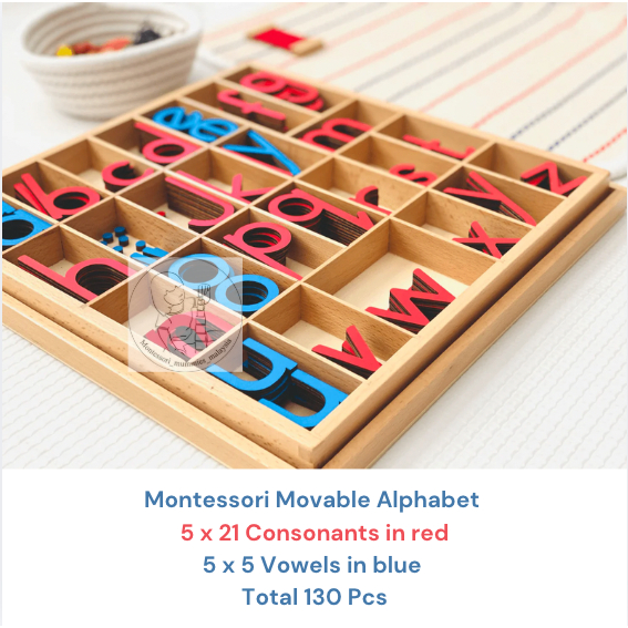 Montessori Wooden Movable Alphabet with Tray (phonics/alphabet/english ...