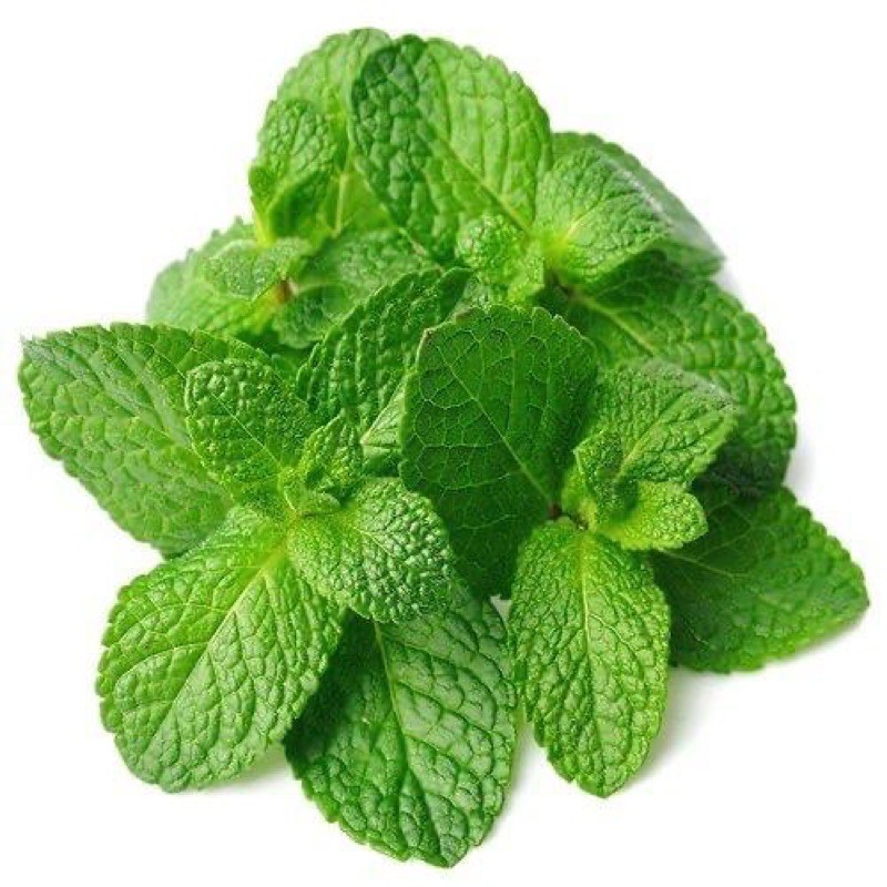 BIJI BENIH PUDINA (EDIBLE MINT SEEDS) | Shopee Malaysia