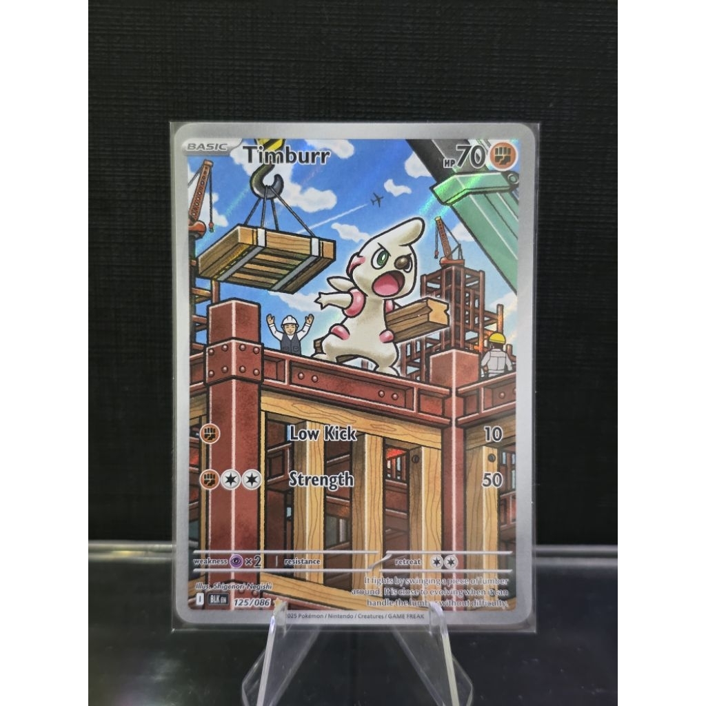 2025 Timburr Card (Full Art Holo) | Shopee Malaysia