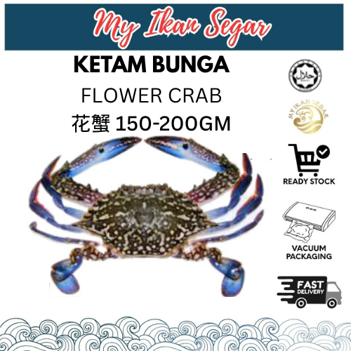 New Arrival [Crab Lover] Ketam Bunga /Flower Crab [Saiz 150/200gm/pcs ...
