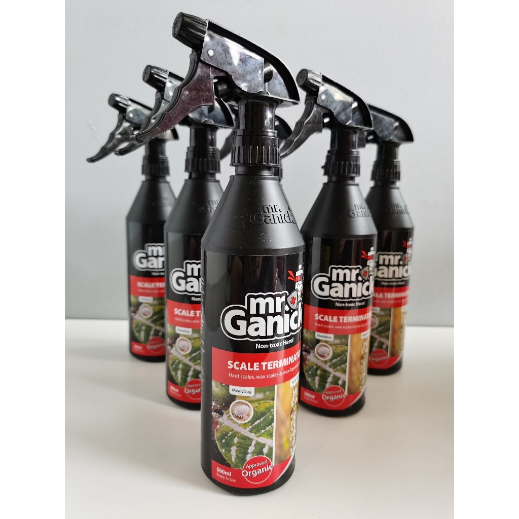 【500ml】Baba Mr Ganick Scale Terminator Organic Pesticide Mealy Bugs ...