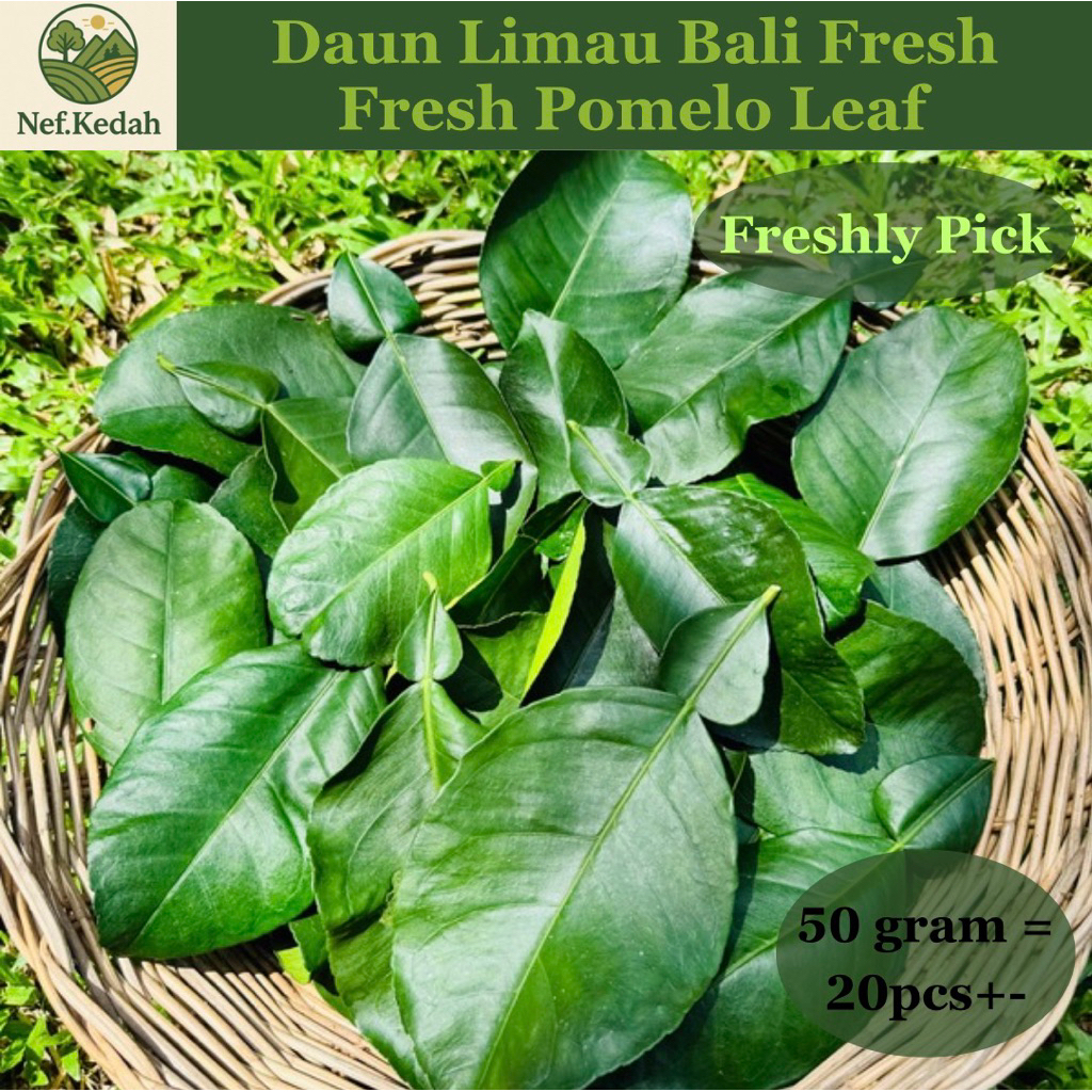 Daun Limau Bali Segar / Fresh Pomelo Leaf 50g ± / Daun Mandi Bunga ...