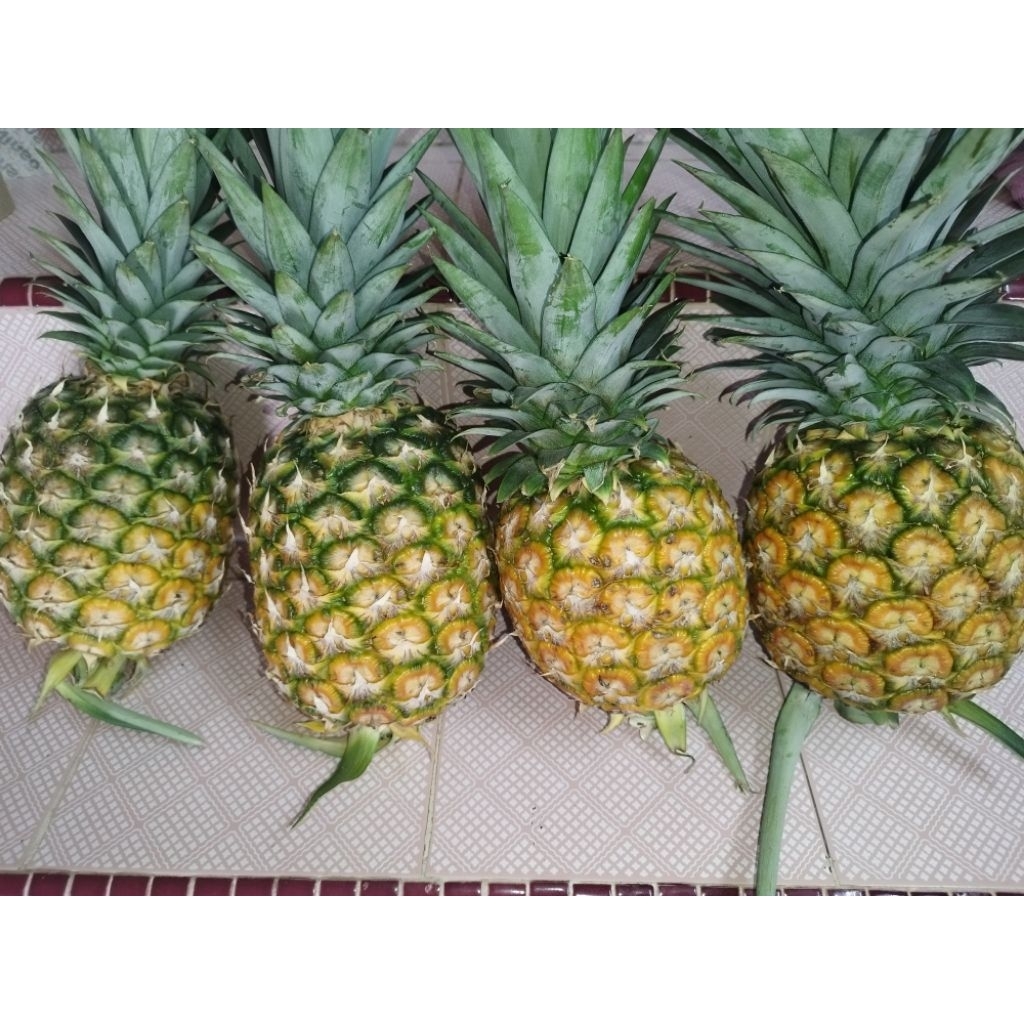 NENAS MD2 PREMIUM 1 RM5 GRED C | Shopee Malaysia