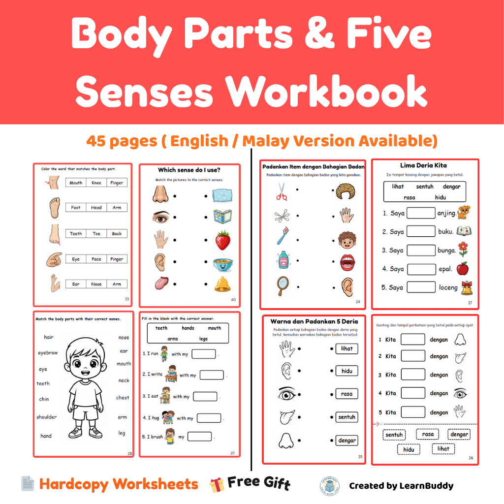 Body Parts & 5 Senses Worksheet Age 3+ English+Malay| Kertas Latihan ...