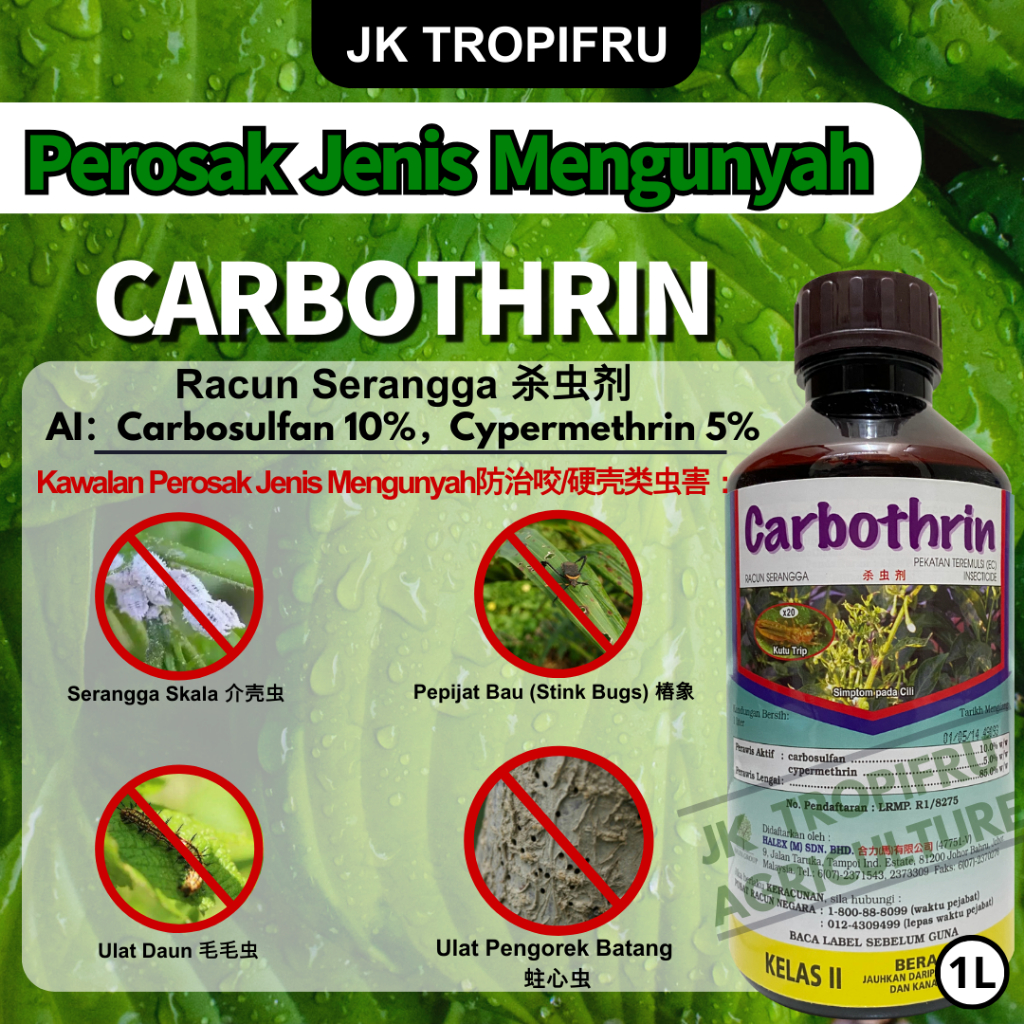 【Teritip daun / Bena Putih / Ulat Pengorek Batang / Kutu Psyllid ...