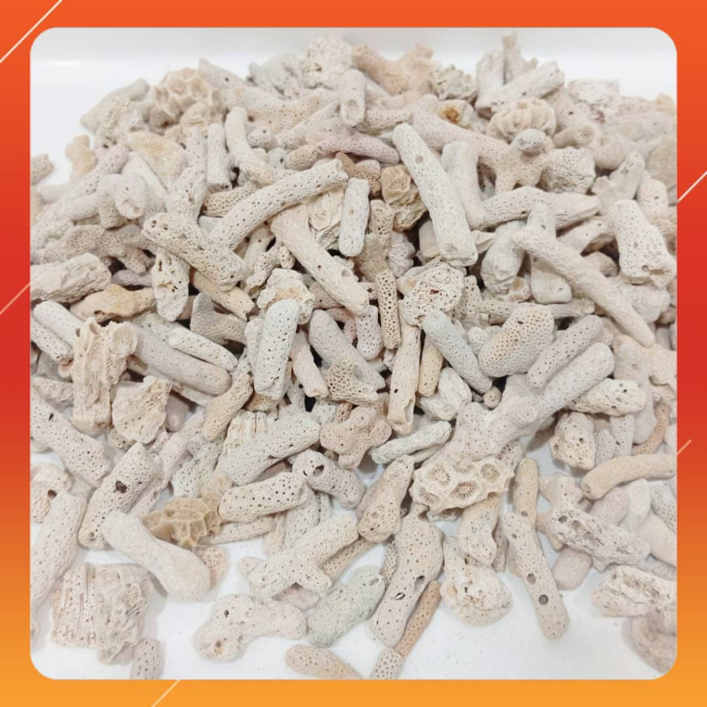 [1KG READY STOCK] Coral Stone Coral Bone Aquarium Fish Tank Batu Karang ...