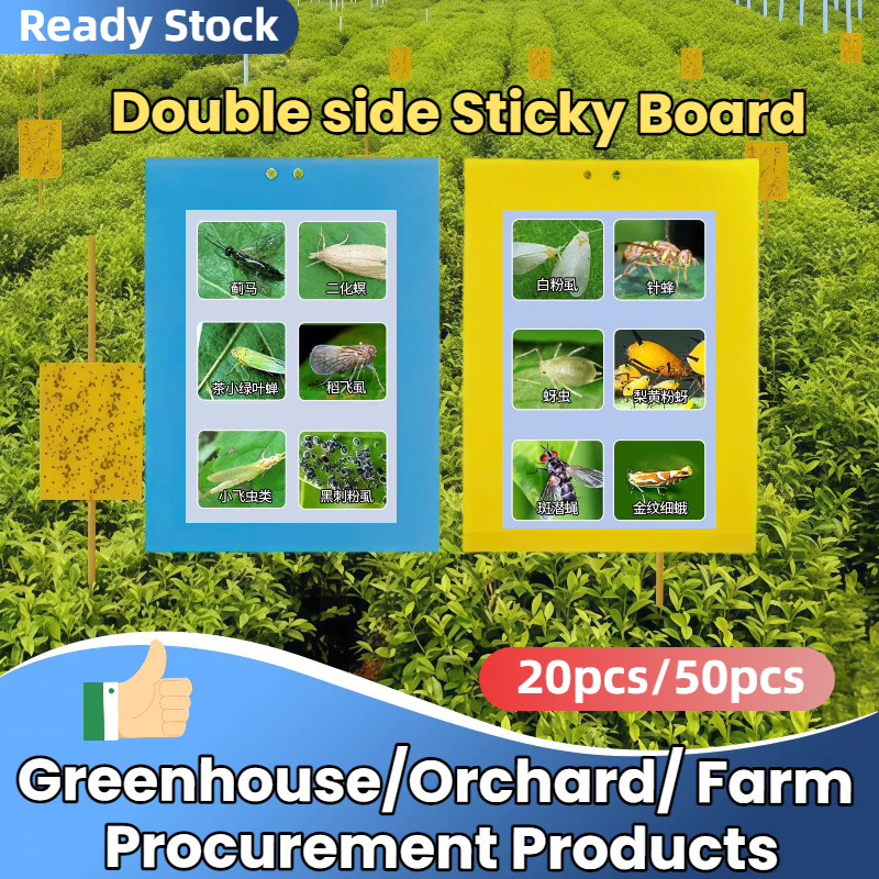 Fly Trap Double Sided Sticky Board Insect Fruit Flies Trap Pelekat ...