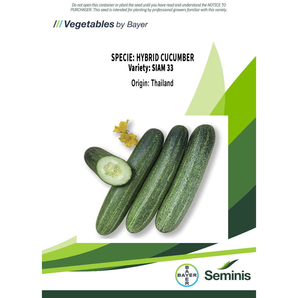 BAYER SEMINIS HYBRID CUCUMBER SIAM 33 100G ( 3800 SEEDS +- ) | Shopee ...