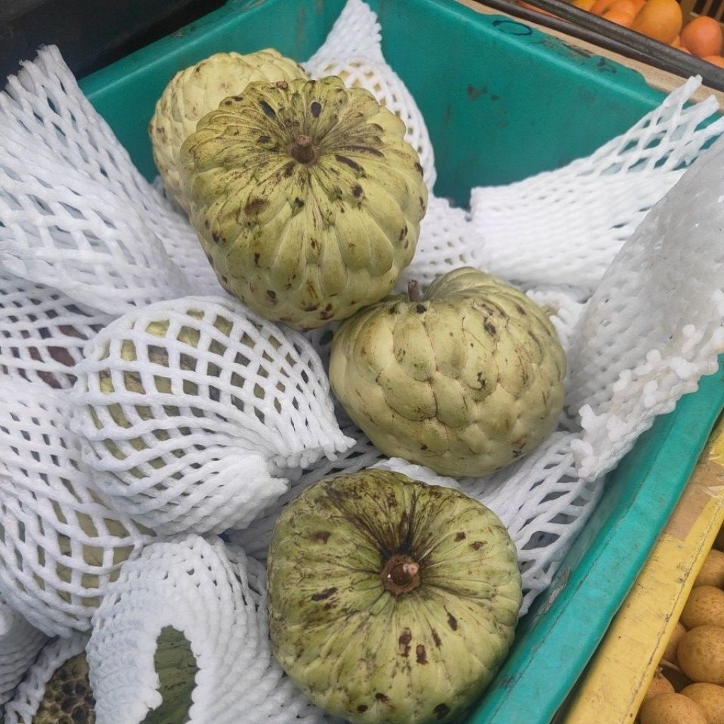 BUAH NONA BESAR 1 kilo ( 2-3 biji) | Shopee Malaysia