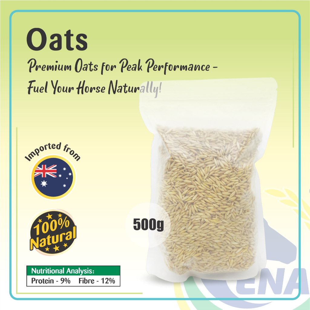 ENA Premium Clipped & Dressed Oats 500g for animal use only | Shopee ...