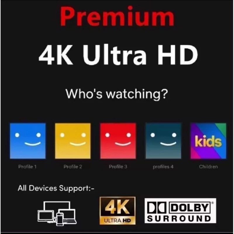 Account Netflix Premium 4K Plan HP/Smart TV/PC Login | Shopee Malaysia