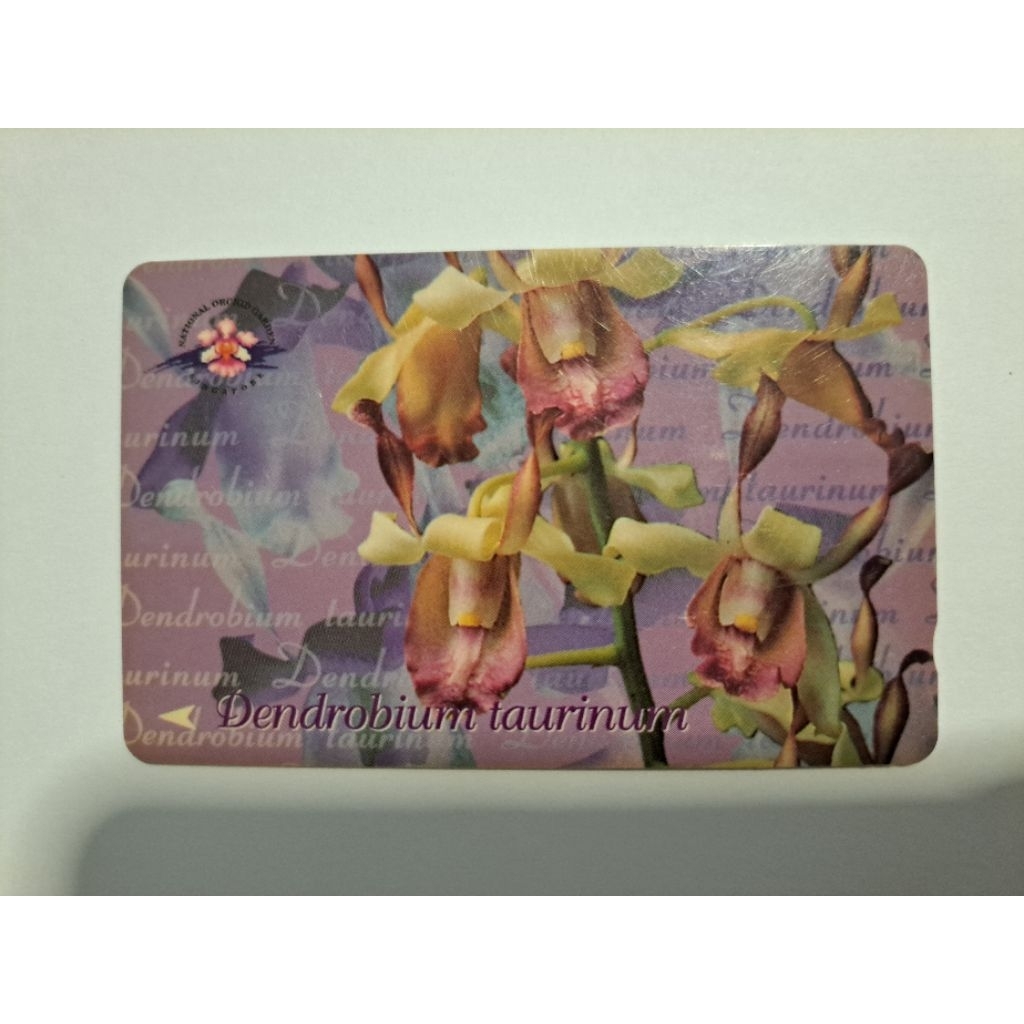 "National Orchid Dendrobium Taurinum" SingTel Phonecard Singapore ...