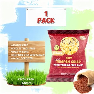 [HALAL] TemTem Red Rice Tempeh Chips 35g |Tadong | Snek Vegan | Gluten ...